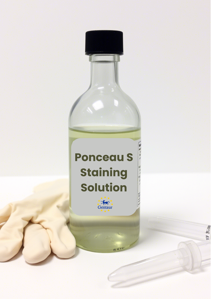 Ponceau S Protein Staining Solution | Aureus Pharma
